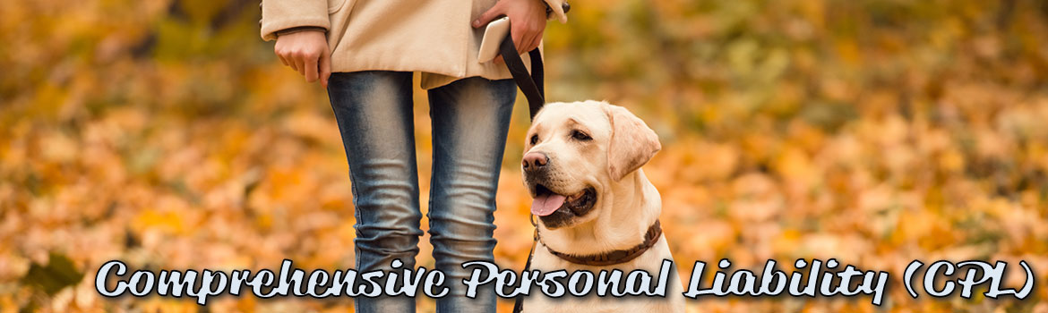 Product Details - Comprehensive Personal Liability (CPL) - Tuscano Toolbox